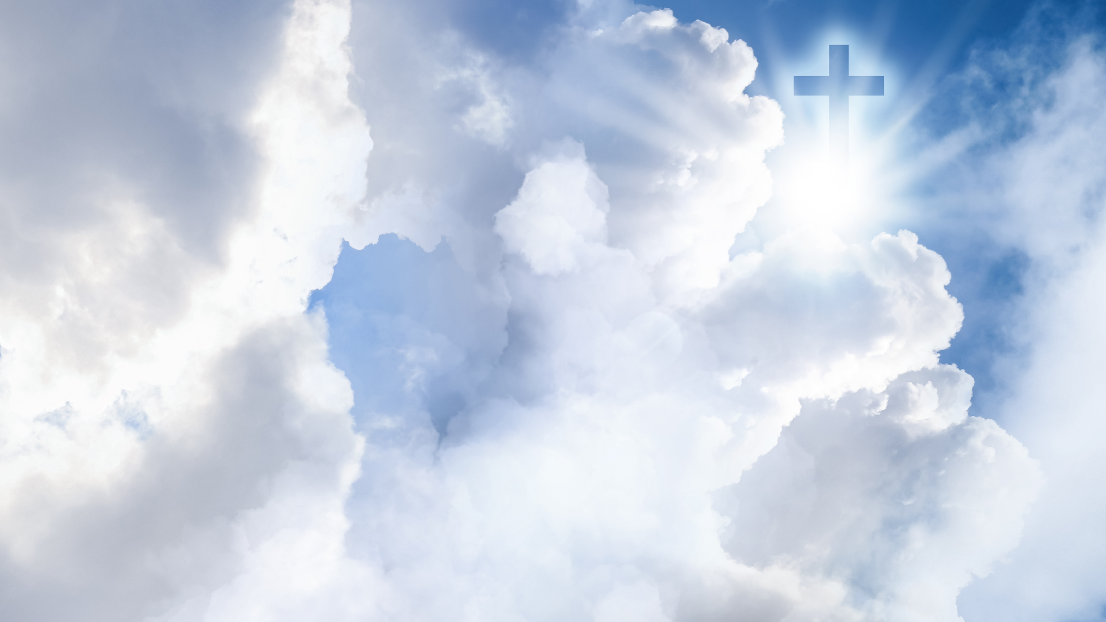 Celebrating Life at the End of Life: Finding Joy and Meaning in the ...